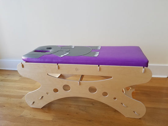 Chiro Kids Corner - Chiropractic kids tables and toys – ChiroKidsCorner